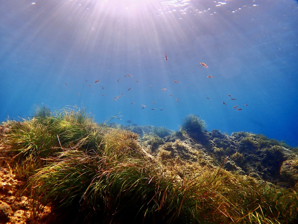 【ねこざき日記】2023年7月26日 最高の日本海！！